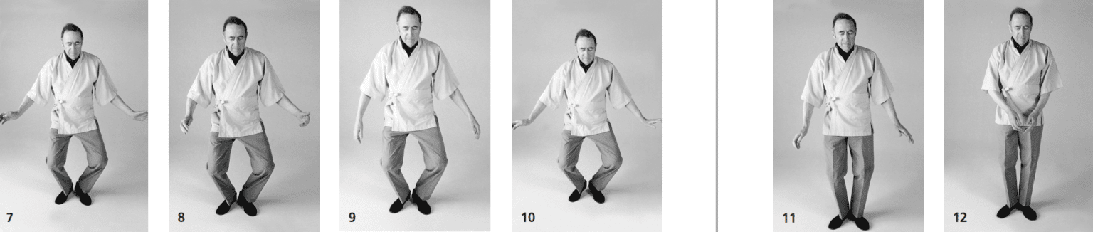 Bird Flaps its Wings - Justin Stone Tai Chi Chih