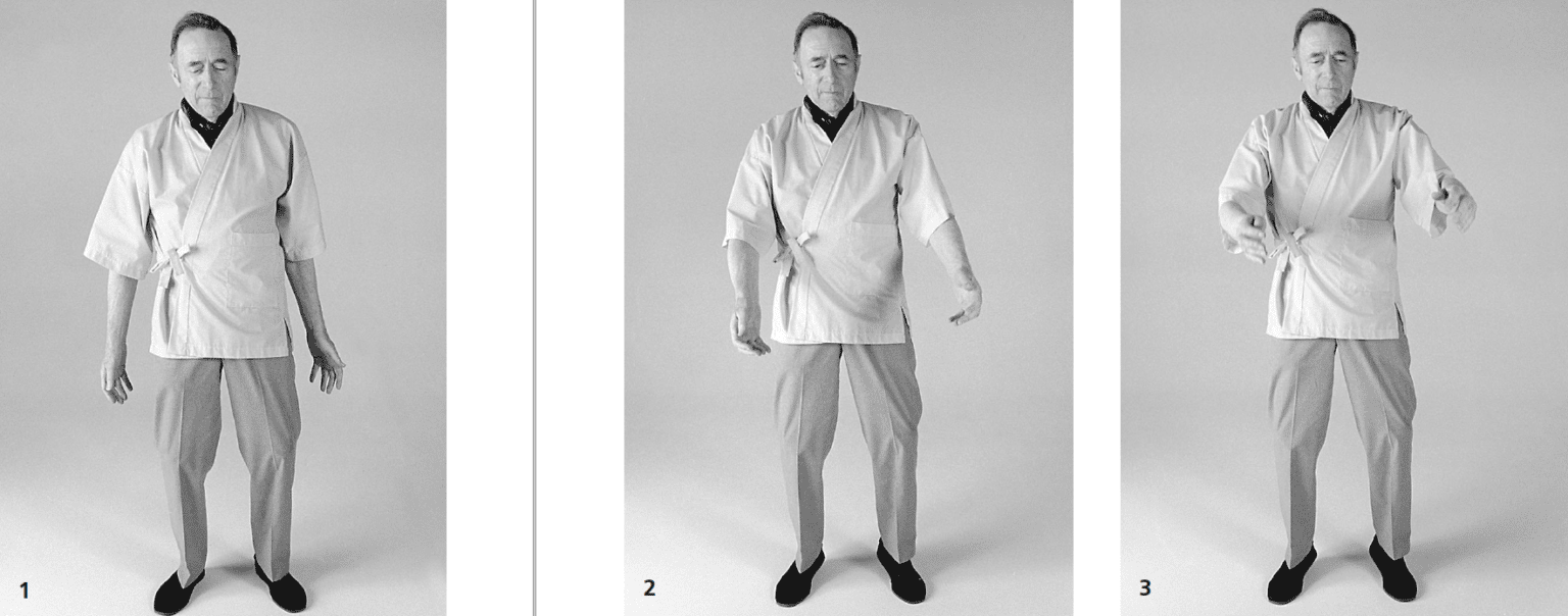 Rocking Motion - Justin Stone Tai Chi Chih